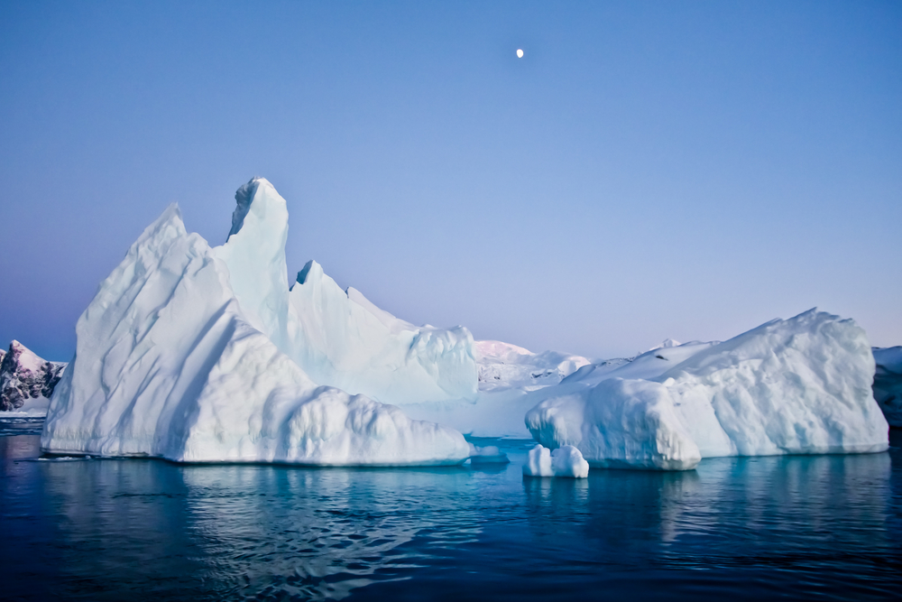 A Frozen Bear Emerges From Siberian Ice and Rewrites History - Prince ...